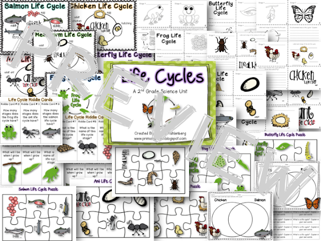 Life Cycles | Primary Punch