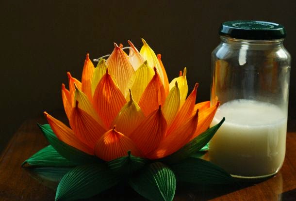 Design Decor Disha An Indian Design Decor Blog Diwali Decor Ideas Part I design-decor-disha-an-indian-design-decor-blog-diwali-decor-ideas-part-i