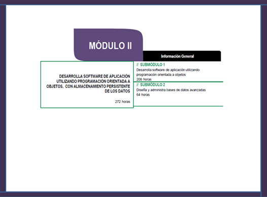 programacion orientada a objetos: MODULO II