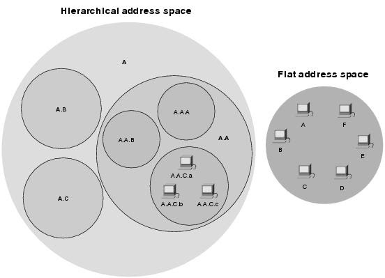 Networking: *Hierarchical Versus Flat Address Space Networking: *Hierarchical Versus Flat Address Space