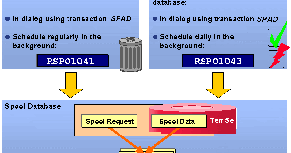 SAP BASIS: Spool Administration