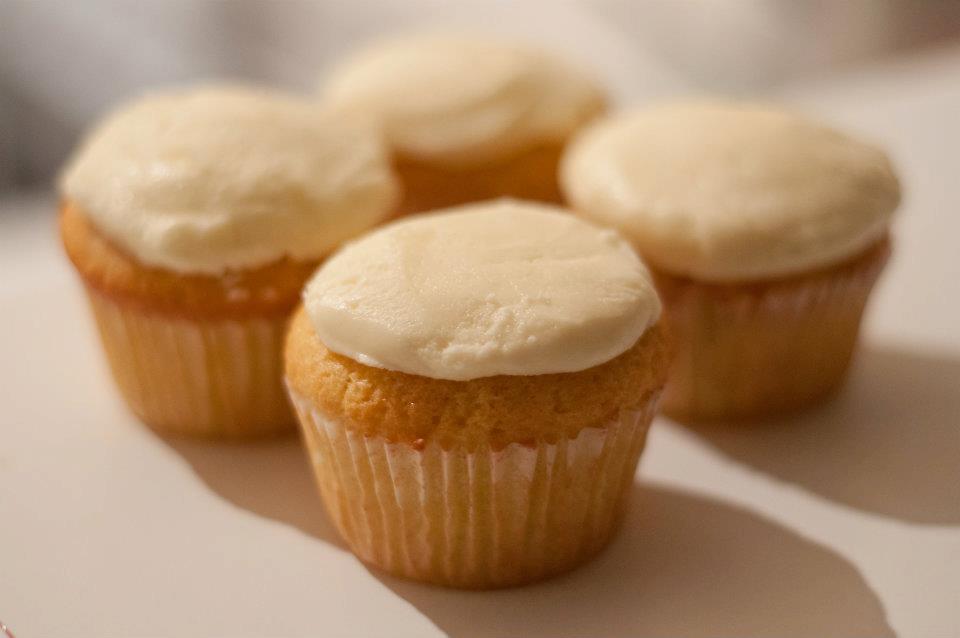 Testing Testing Day 1 Plain Cupcakes testing-testing-day-1-plain-cupcakes