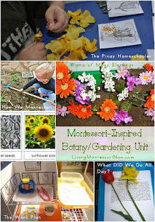 10 Botany Activities for Kids: Kid's Co-op ~ Reading Confetti