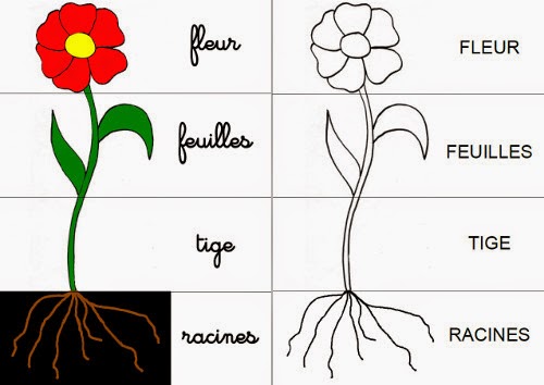 Épinglé sur école