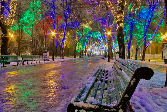 Rainbow+Christmas-Tree-Lights.jpg (550×369) | Jultid