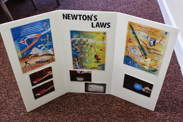 Half-a-Hundred Acre Wood: Newton's Laws of Motion… Simplified