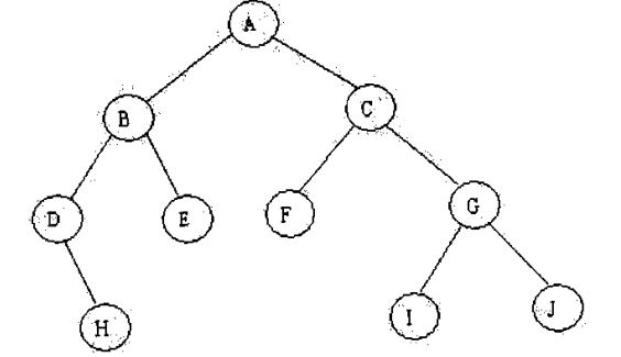 Anna University - DATA STRUCTURES AND OBJECT ORIENTED PROGRAMMING IN C ++ - April / May 2010 ...