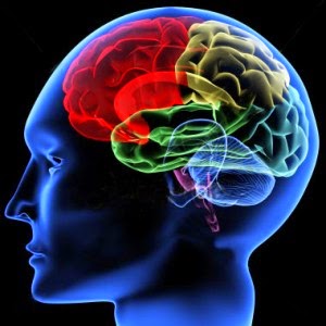 Eclosionando Ideas: ¿Qué es un acto mental?