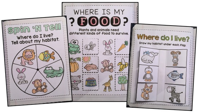 Living Things Interactive Notebook and Activities for Kids | The ...