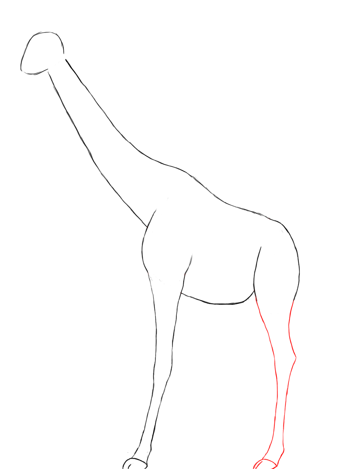 How To Draw A Giraffe Draw Central how-to-draw-a-giraffe-draw-central