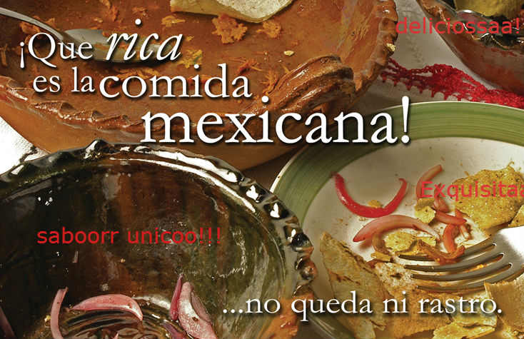 Mis Recetas Favoritas!: comidas mexicanas:))