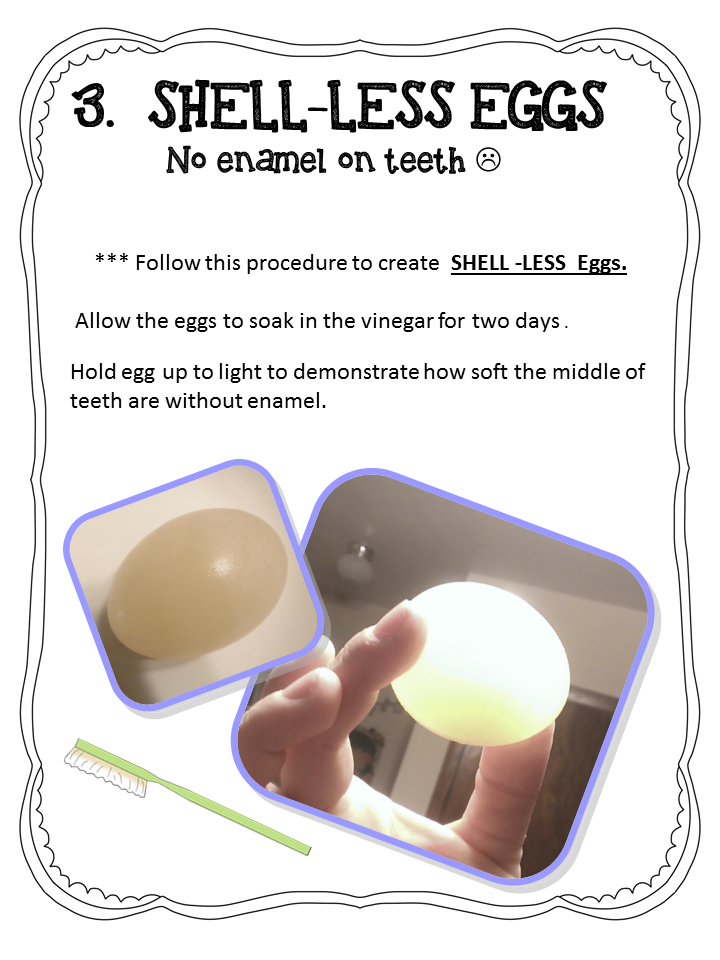 The Best of Teacher Entrepreneurs III: EGG- CITING EGGS