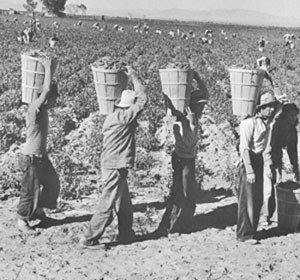 Steinbeck Research Project: Migrant Farmers Depression Era -- Life of a ...