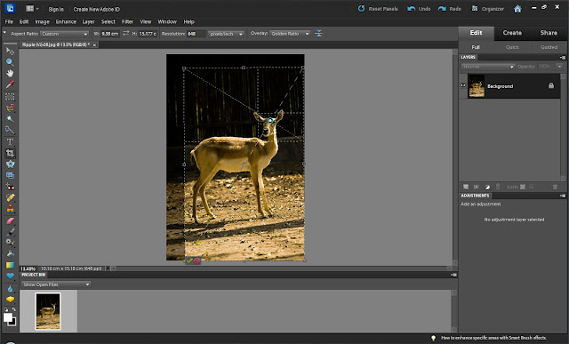 How To Correctly Crop Your Photographs To Look More Beautiful Golden Rule Rule Of Thirds how-to-correctly-crop-your-photographs-to-look-more-beautiful-golden-rule-rule-of-thirds