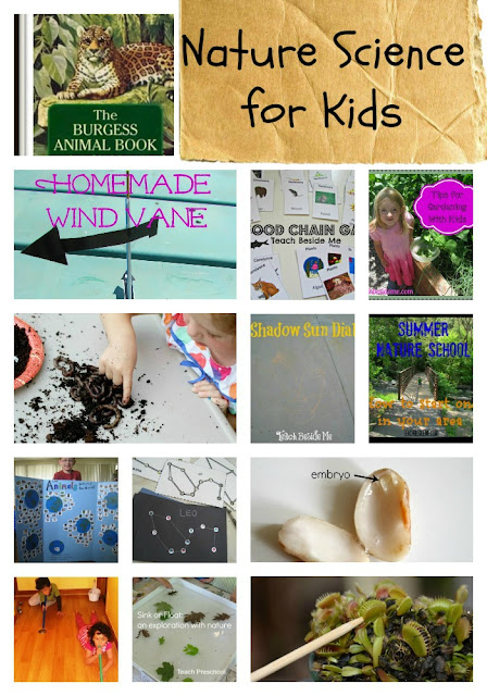 Nature Science Experiments {Solar S'mores} - Teach Beside Me