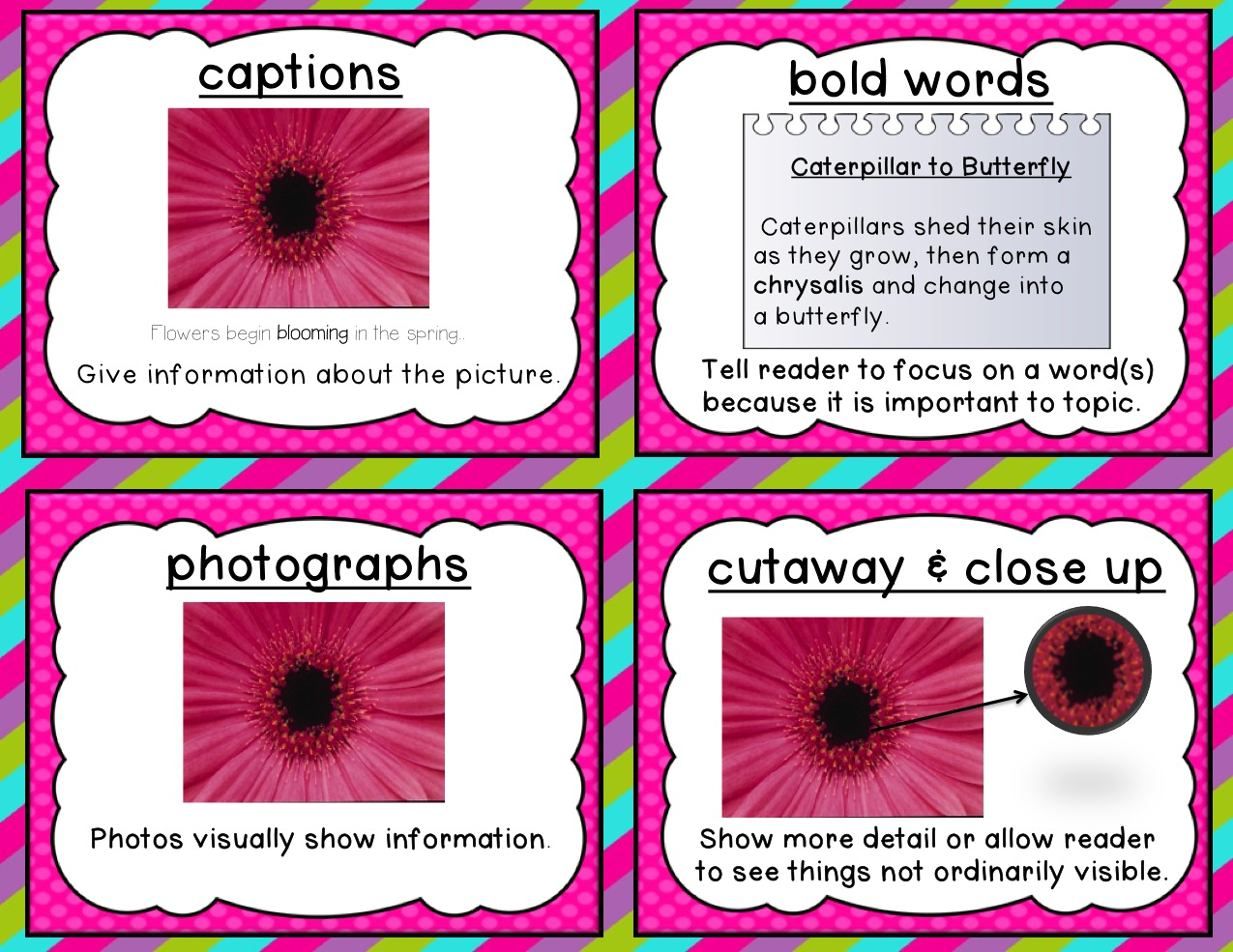 Teaching Blog Round Up Nonfiction Text Features teaching-blog-round-up-nonfiction-text-features