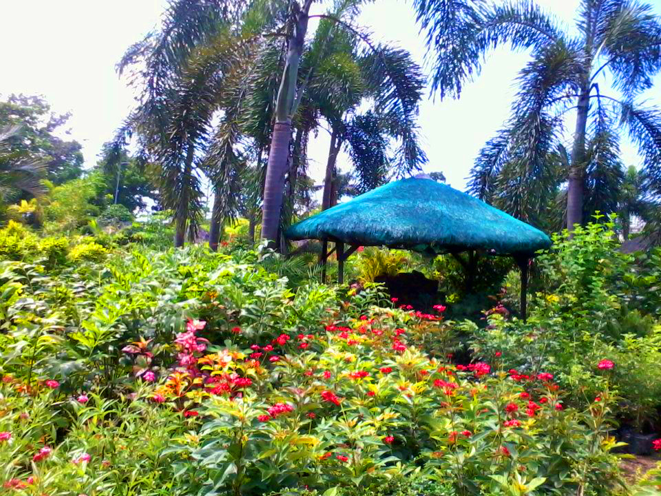 Halamanan Festival Guiguinto Bulacan