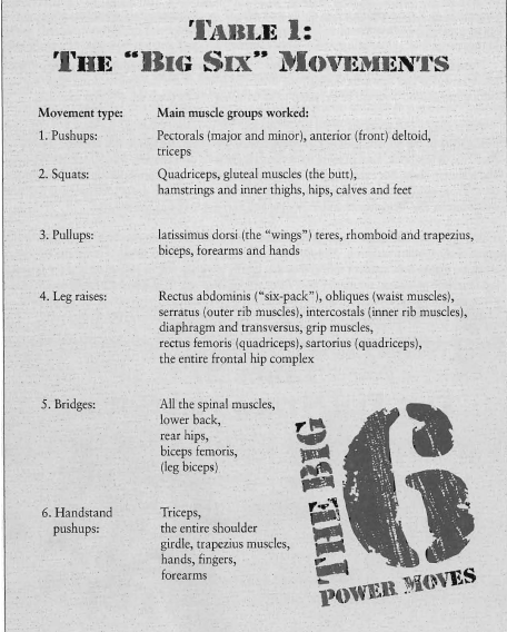 A Journey To Real Strength: The "Big six" Movements