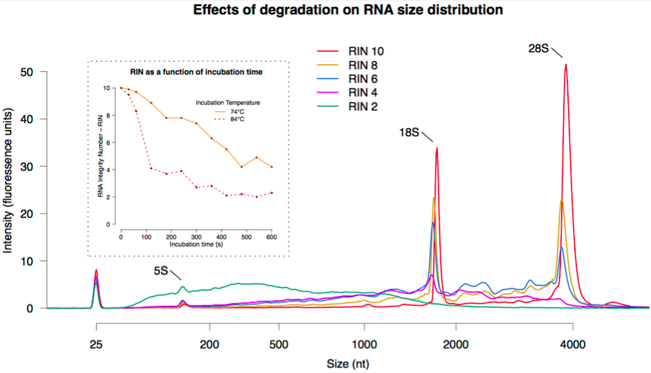 3TC-seq: differential expression from degraded RNA - Enseqlopedia