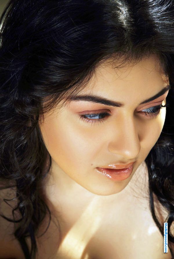 Hansika Motwani in a Spicy Photo Pose - Ammayi Spicy Photos