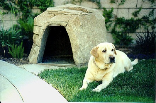 Diseños para la casa de tu mascota que te encantarán