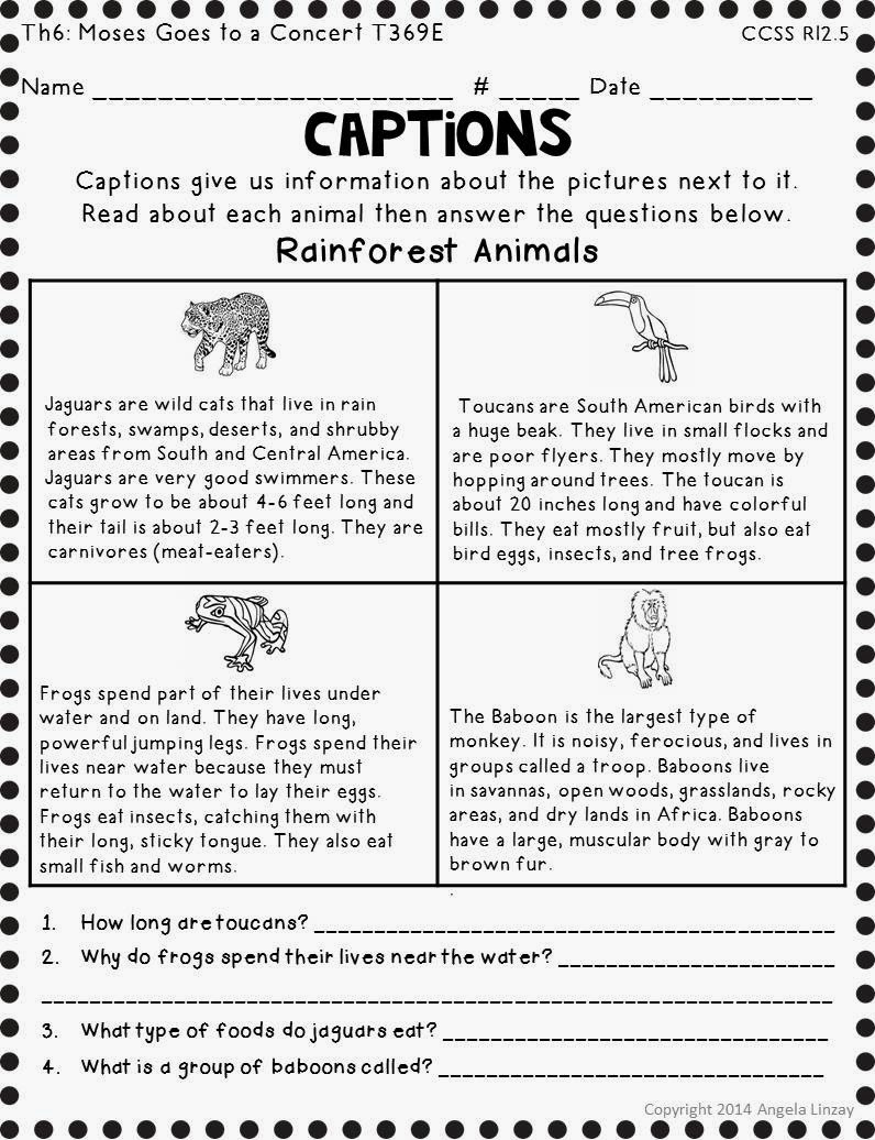 Lights... Camera... TEACH!: Seven for Sunday