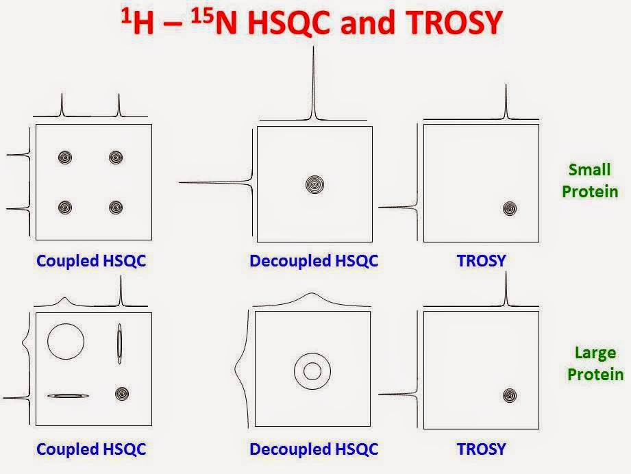 University of Ottawa NMR Facility Blog: TROSY