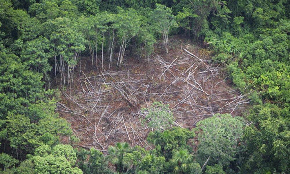 Amazon Rainforest amazon-rainforest