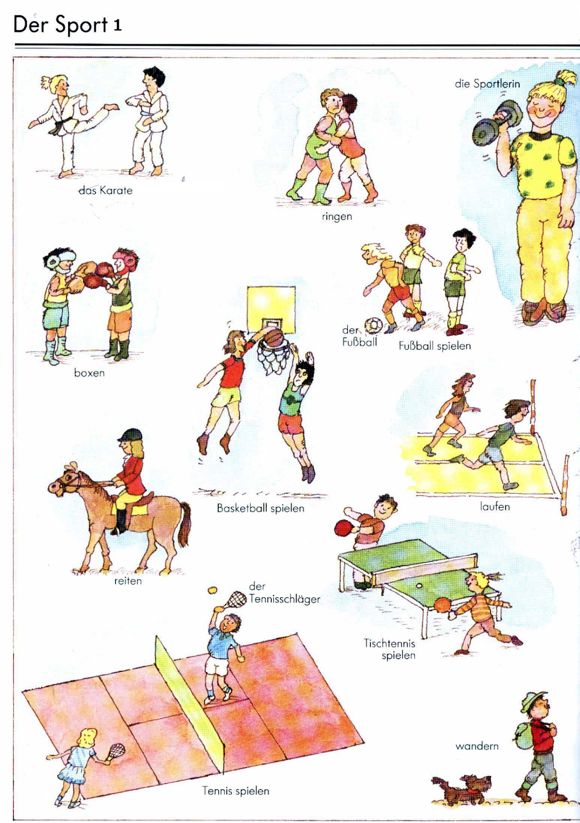 German For Beginners: Sport 1 | Aprender alemão, Idioma alemão, Alemão