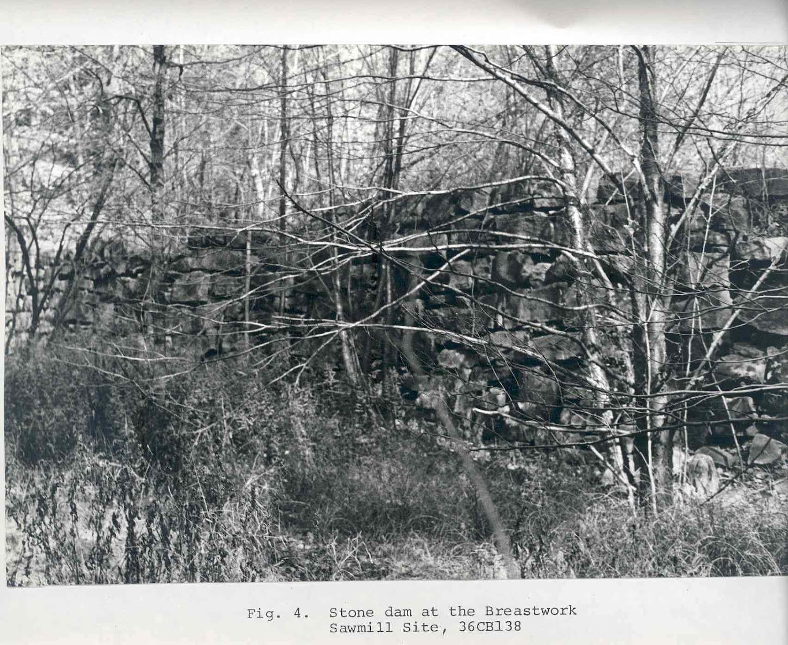 This Week In Pennsylvania Archaeology: Cambria County This Week In Pennsylvania Archaeology: Cambria County