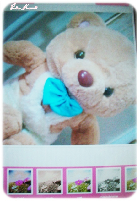 DecoPic e Snapeee: Puricute no Android e iPhone! | Reino Kawaii