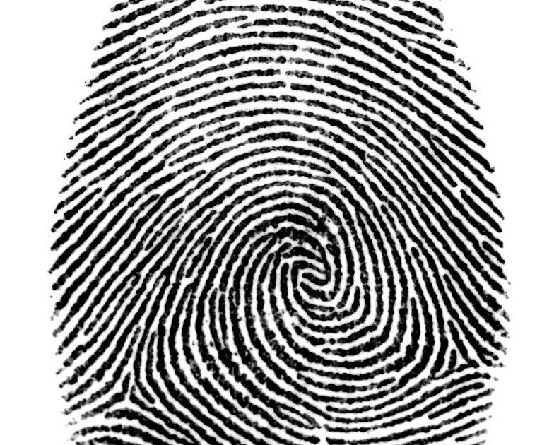 A Fingerprint Expert Blogs What Is A Fingerprint a-fingerprint-expert-blogs-what-is-a-fingerprint