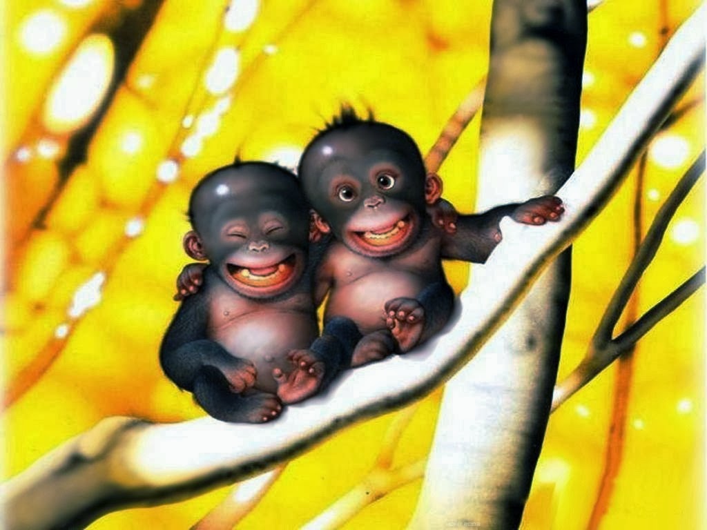 Imagenes de risa gratis - Imagui