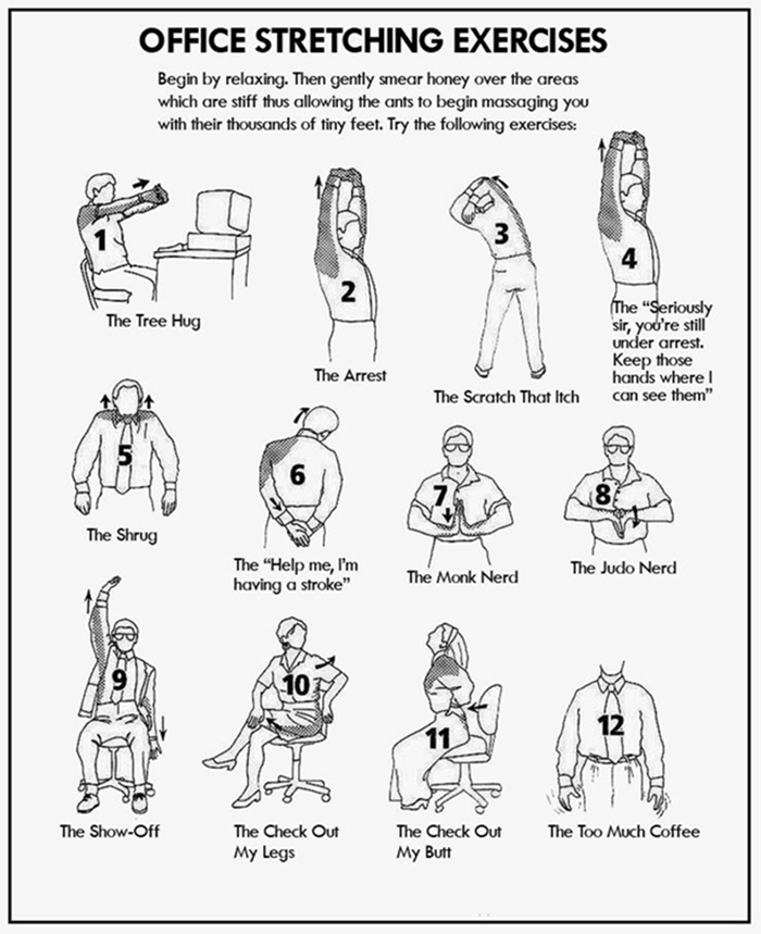 Office Exercise Program Biomaster office-exercise-program-biomaster