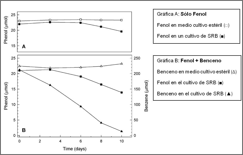 Problemas de Microbiología: Degradación de hidrocarburos en anaerobiosis Problemas de Microbiología: Degradación de hidrocarburos en anaerobiosis