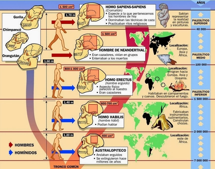 GEOGRAFÍA 1º DE SECUNDARIA : ORIGEN Y EVOLUCIÓN DEL SER HUMANO GEOGRAFÍA 1º DE SECUNDARIA : ORIGEN Y EVOLUCIÓN DEL SER HUMANO