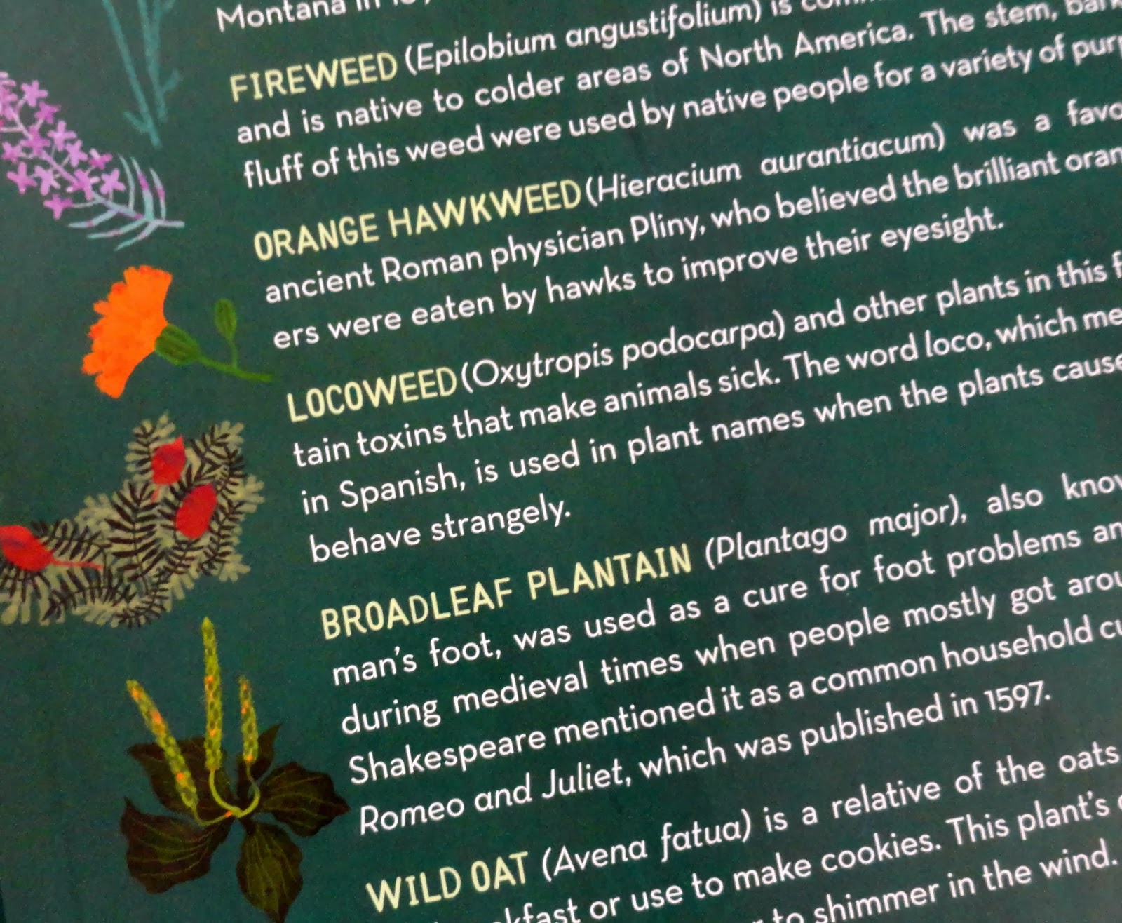 danger garden: Weeds and wonder…