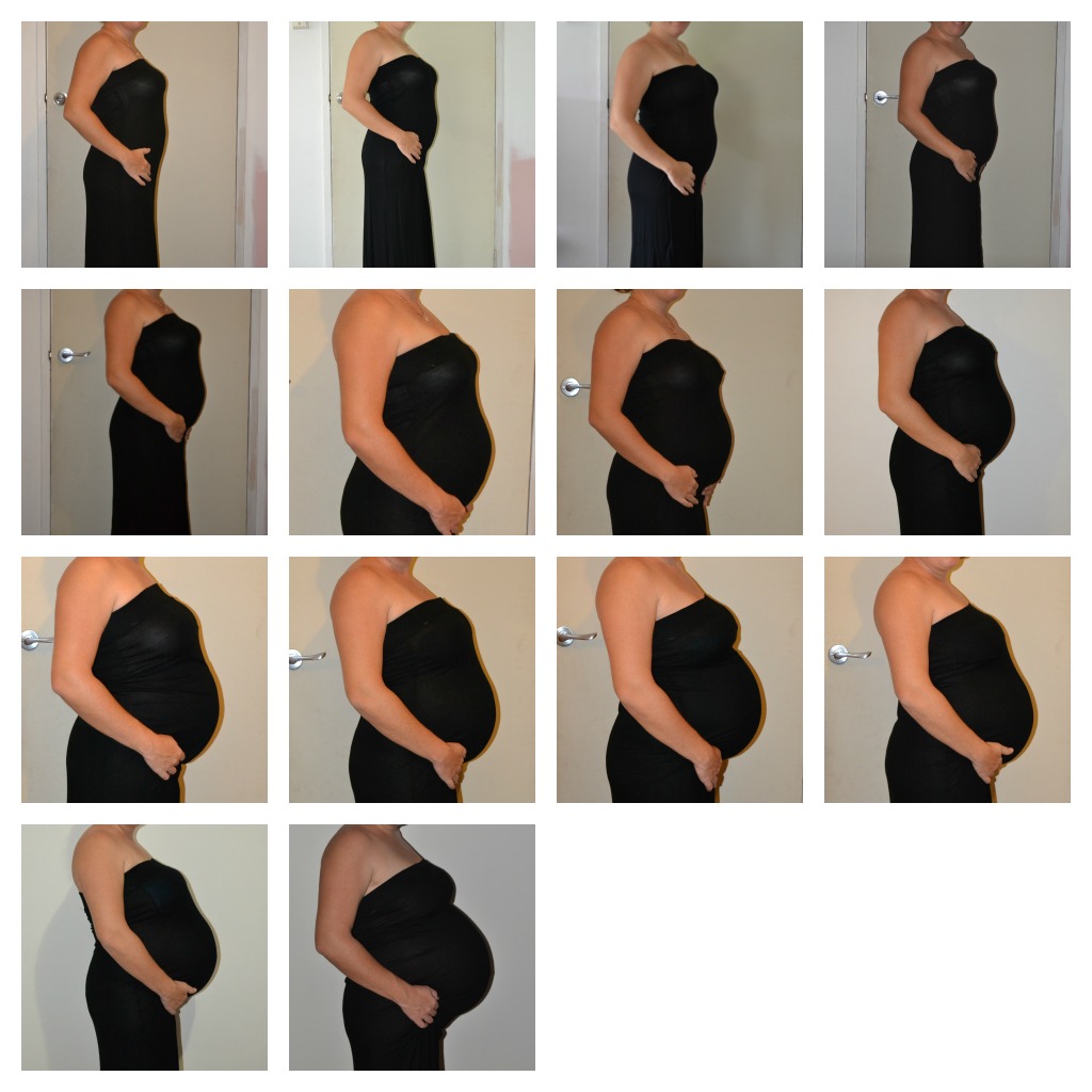 14 weeks pregnant belly size