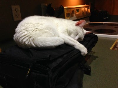 LibreOffice(62)Javaの例をNetBeansでブレークポイントを設定する-p--q