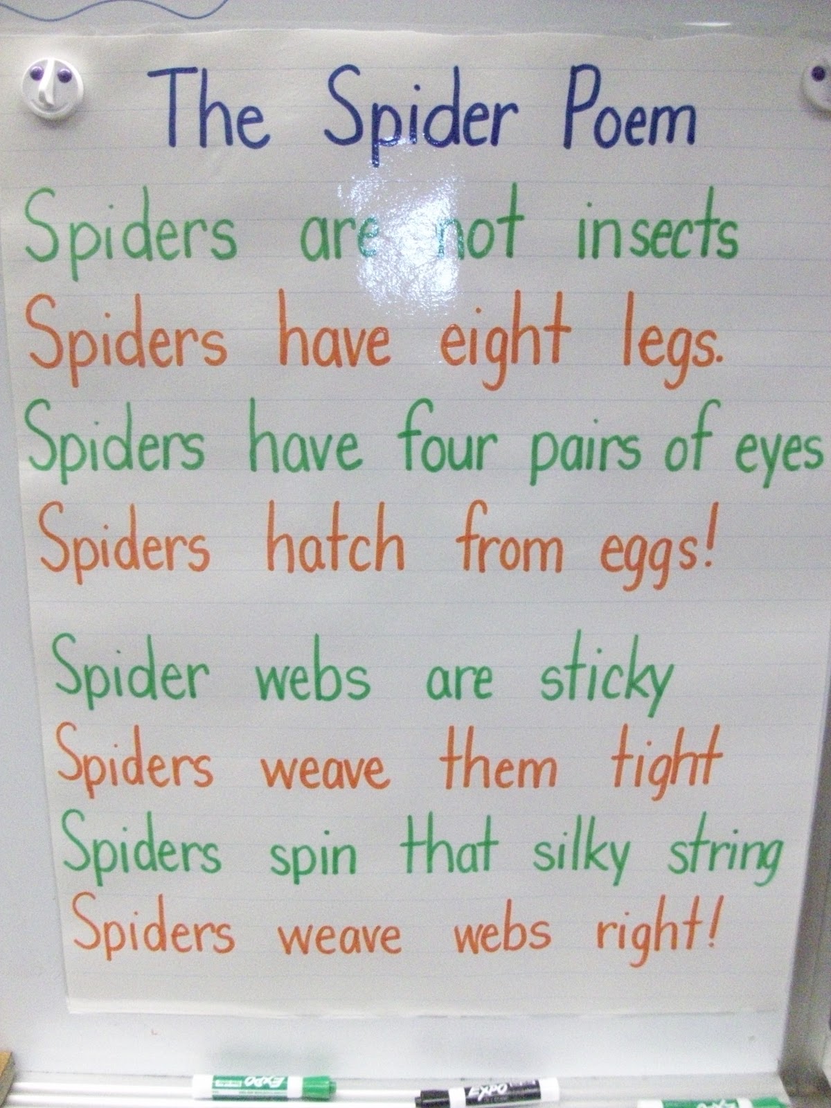 Mrs. Hankinson's Class: Spiders and Bats!