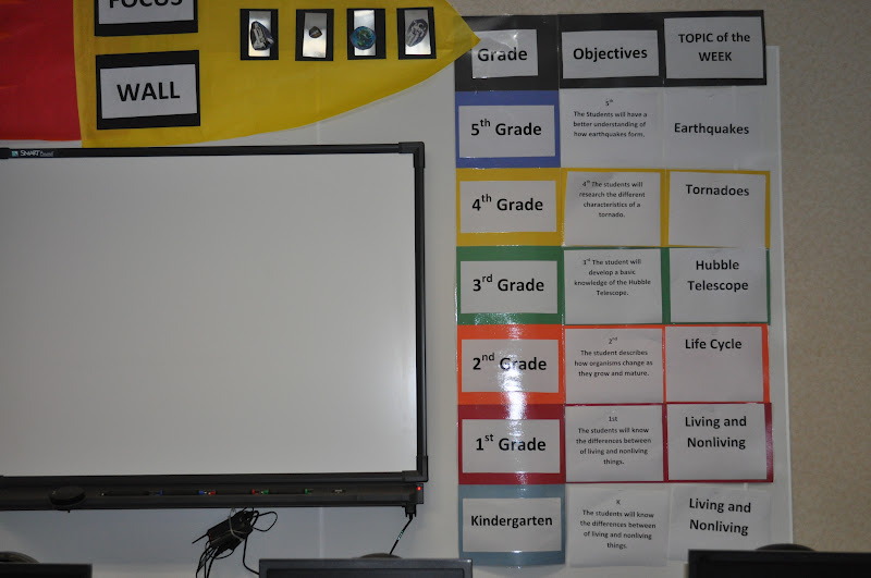 Focus Walls - Fun in First