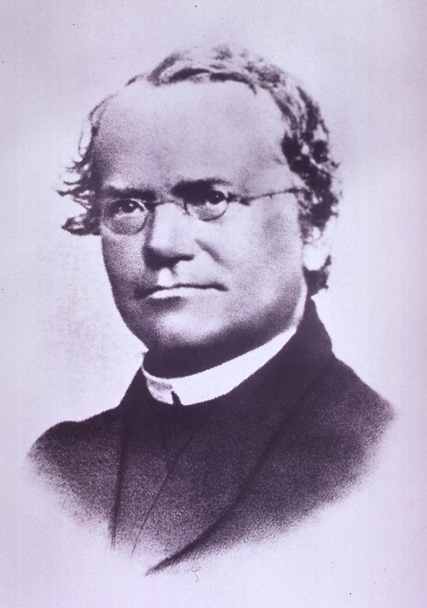 Uniforms Gregor Mendel Full Life Style Video Images Biography uniforms-gregor-mendel-full-life-style-video-images-biography
