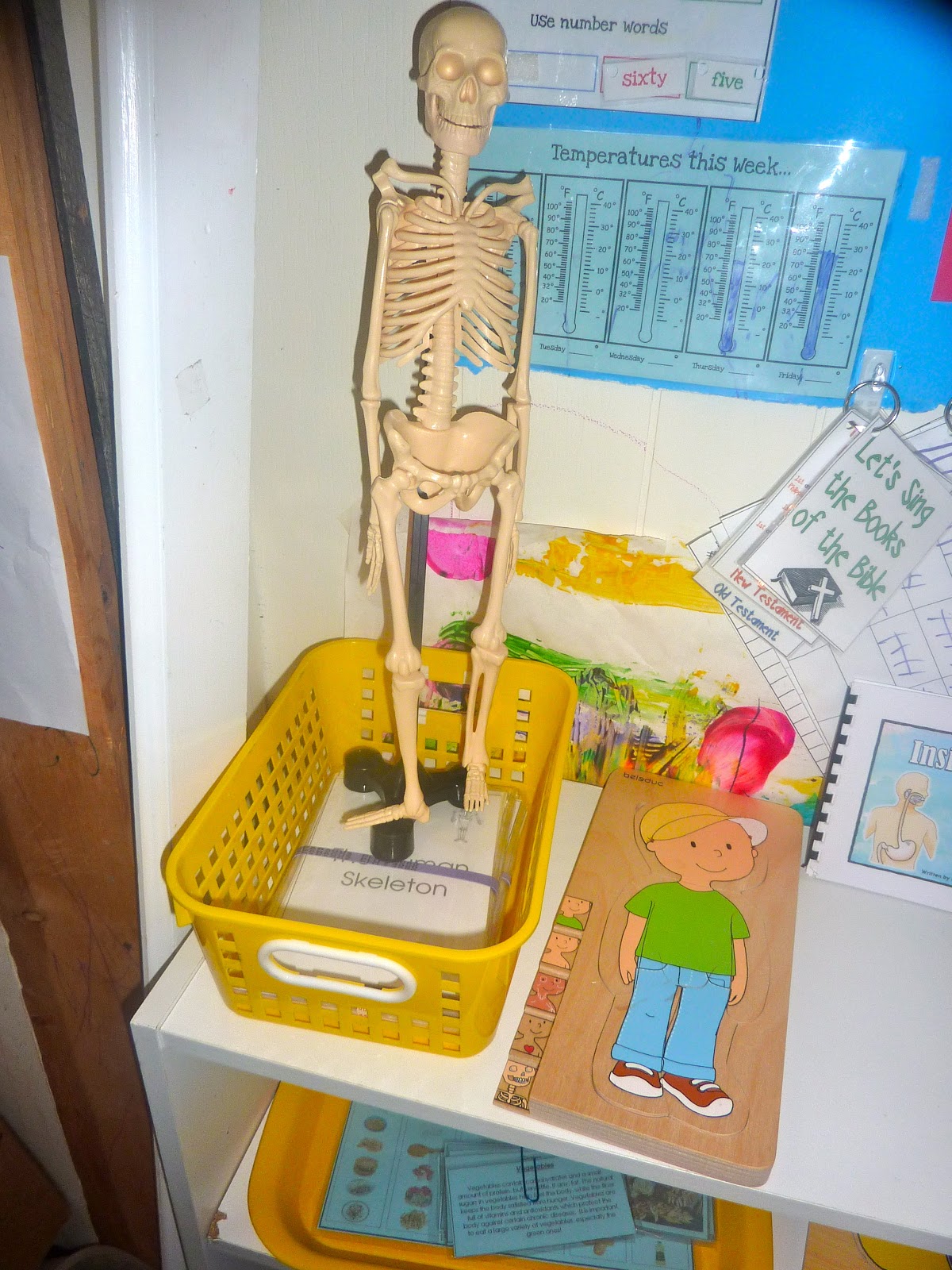 Our Human Body Montessori Activities