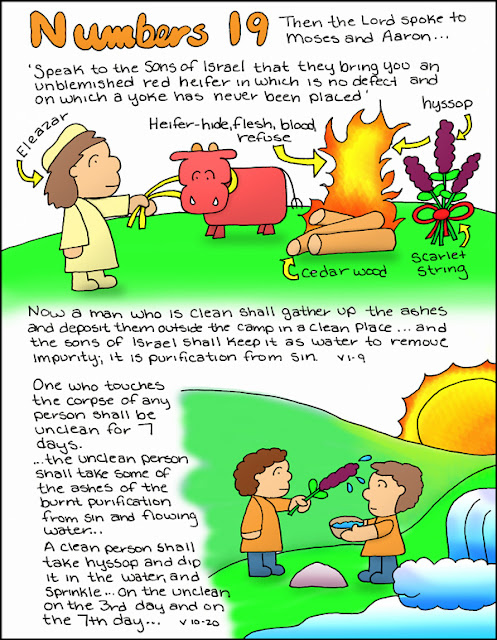Doodle Through The Bible: Numbers 19