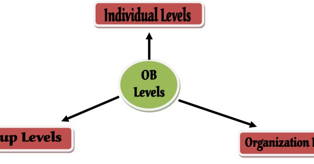 Project Analysis: Levels of Organizational Behavior