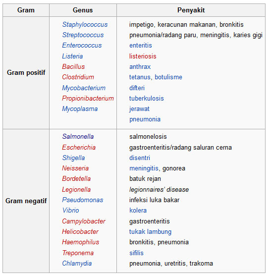 Perbedaan Bakteri Gram Positif Dan Gram Negatif | Kicau Burung Mania