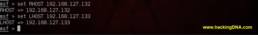 HackingDNA: Metasploit Framework With Basic Commands