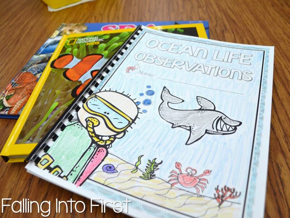 All About Ocean Life | Falling into First