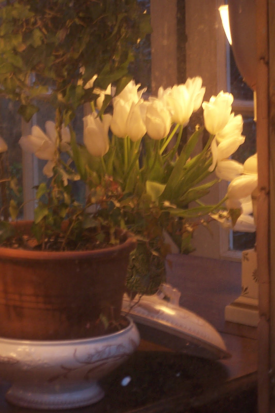 TARA DILLARD How To Make Tulips Last Longer tara-dillard-how-to-make-tulips-last-longer